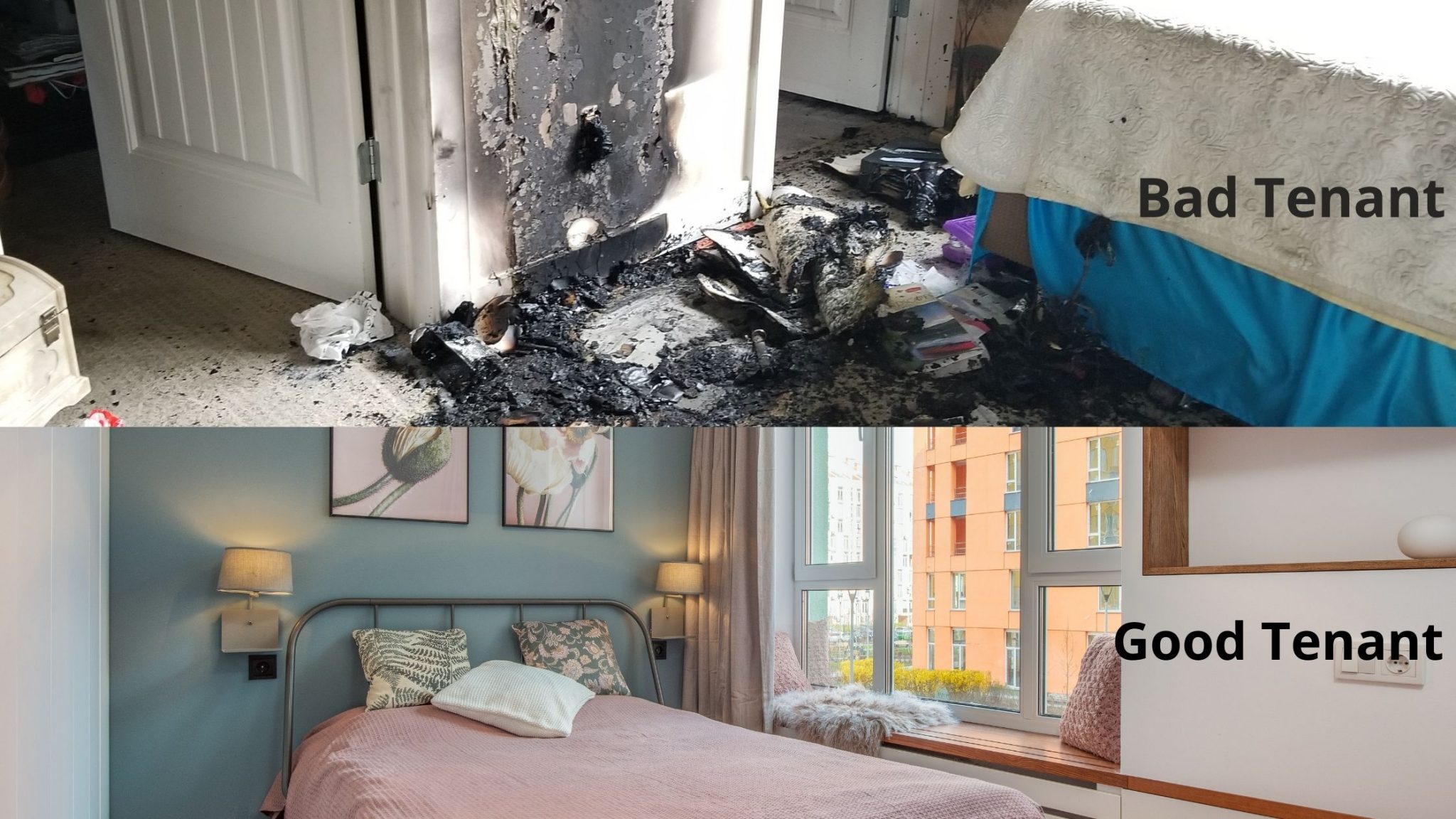 WHY YOU NEED TENANT BACKGROUND CHECK - Clearline Background Fact